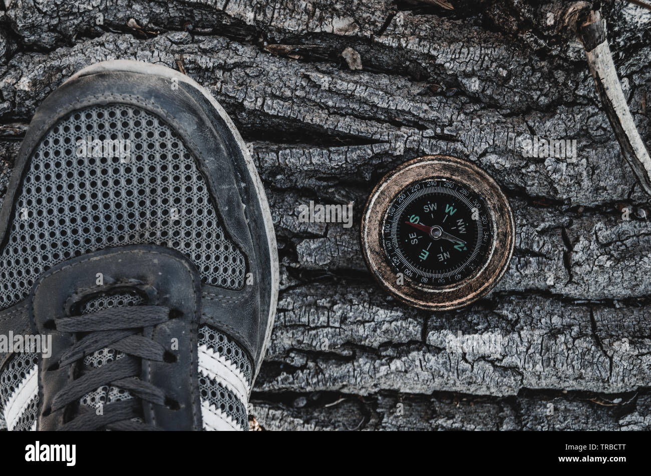 Old compass and shoes on a background of tree bark Stock Photo - Alamy