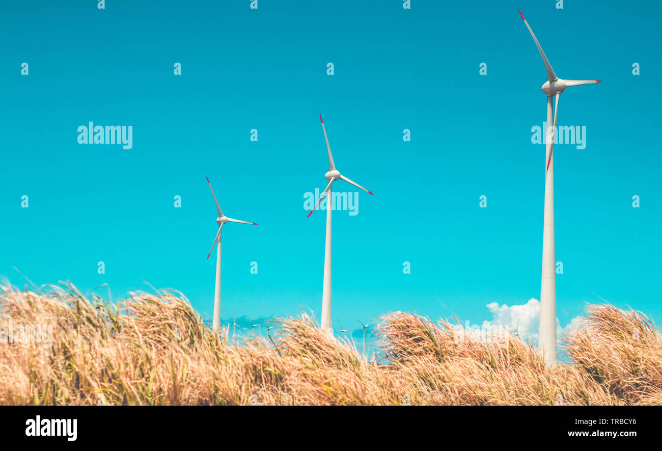 Wind Turbine Power Generator in WindPower Field - Pernambuco, Brazil ...