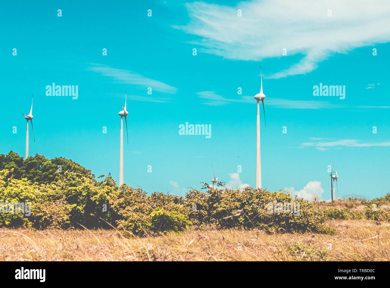 Wind Turbine Power Generator in WindPower Field - Pernambuco, Brazil ...
