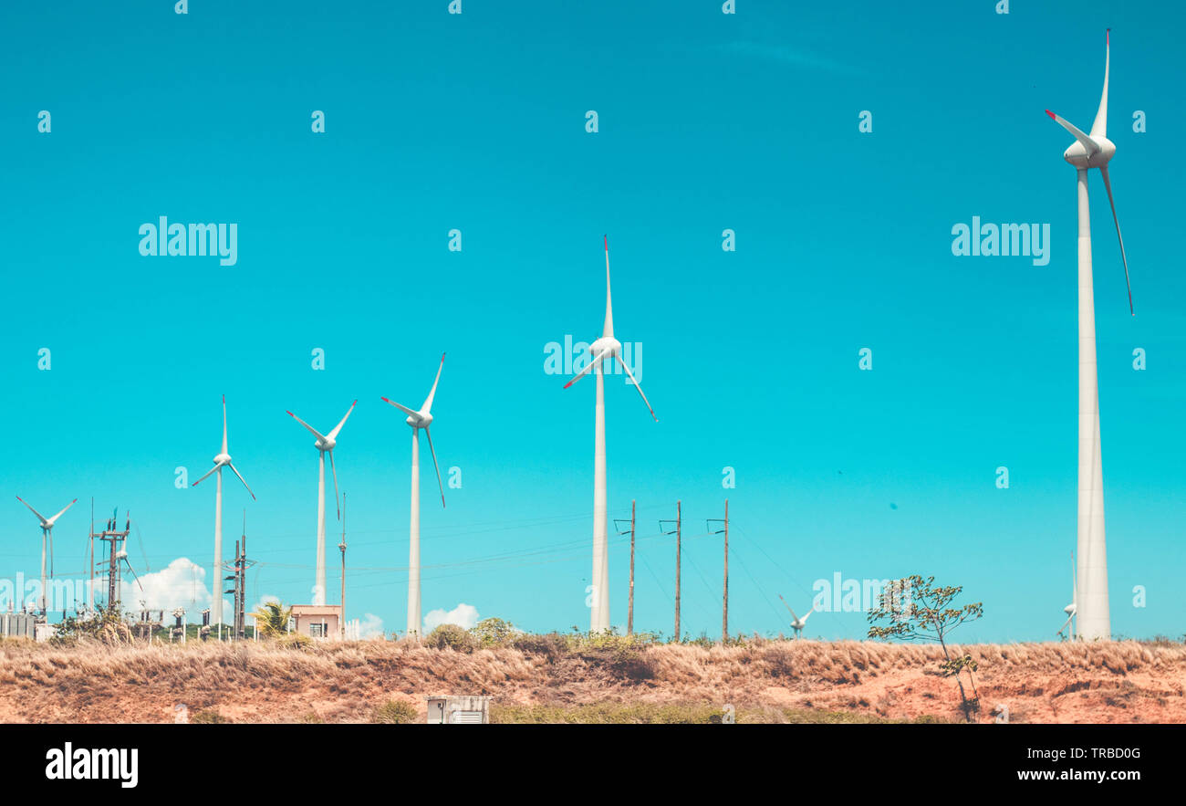 Wind Turbine Power Generator in WindPower Field - Pernambuco, Brazil ...