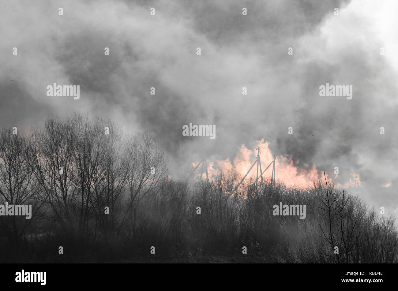 Strong fire and smoke, grass and reeds in flames.Black smoke Stock ...