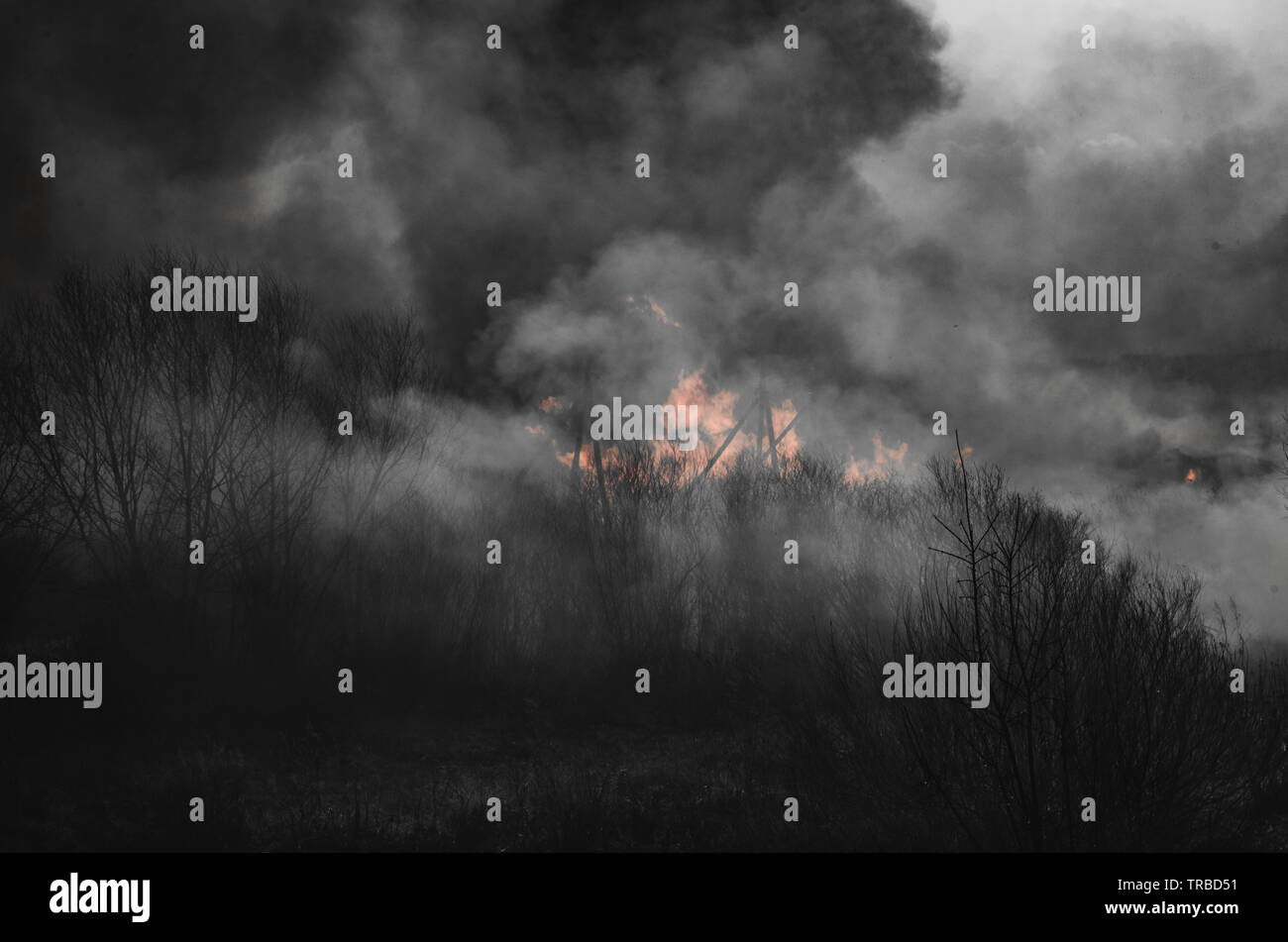 Strong fire and smoke, grass and reeds in flames.Black smoke Stock ...