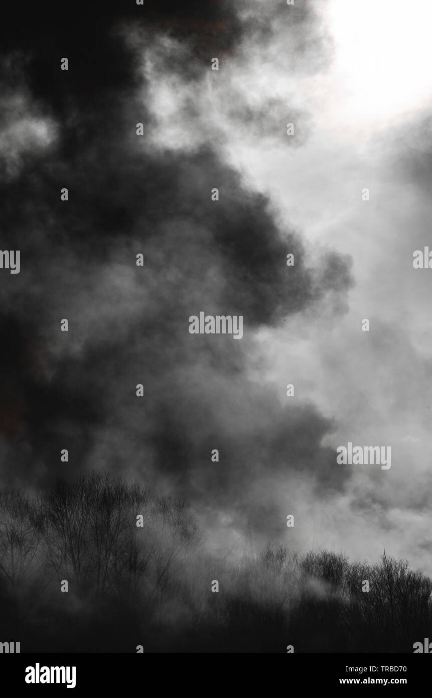 Strong fire and smoke, grass and reeds in flames.Black smoke Stock ...