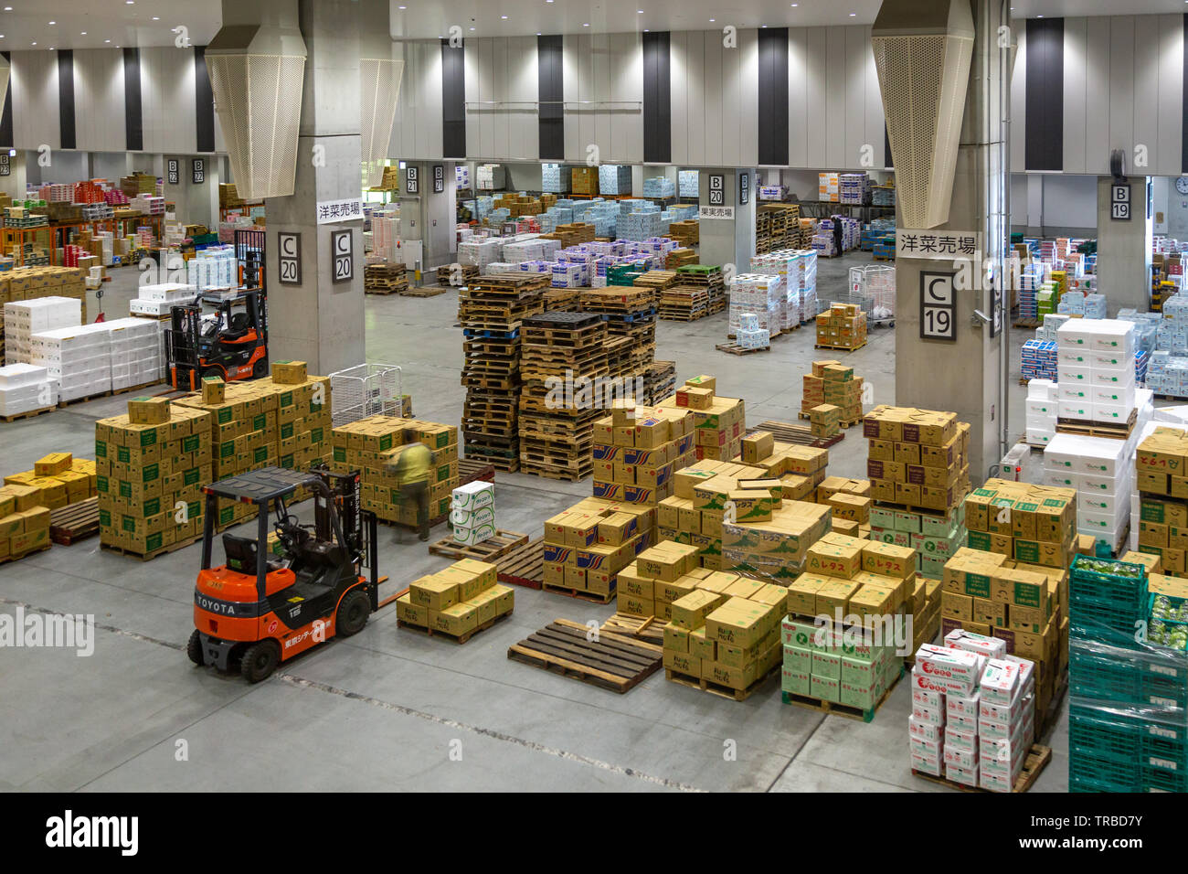 Tokyo, Japan - 23 February 2019 - Fruit market workers busily work in ...