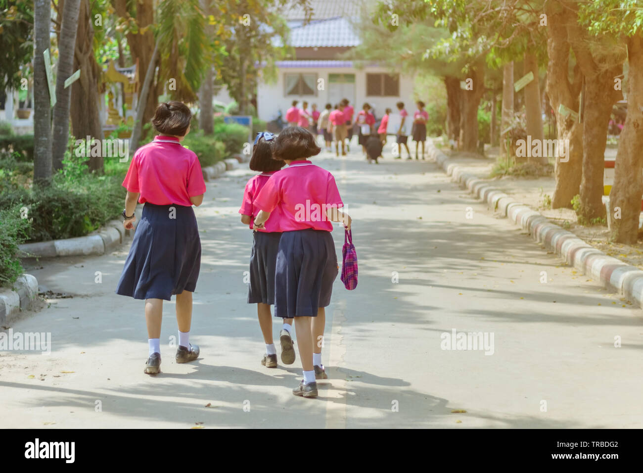 Back view of happiness primary girl students in pink shirt and blue ...