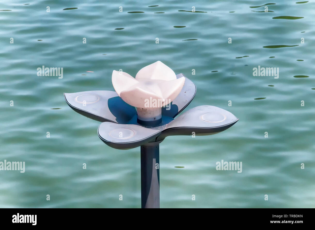 Lotus Flower Above High Resolution Stock Photography and Images - Alamy