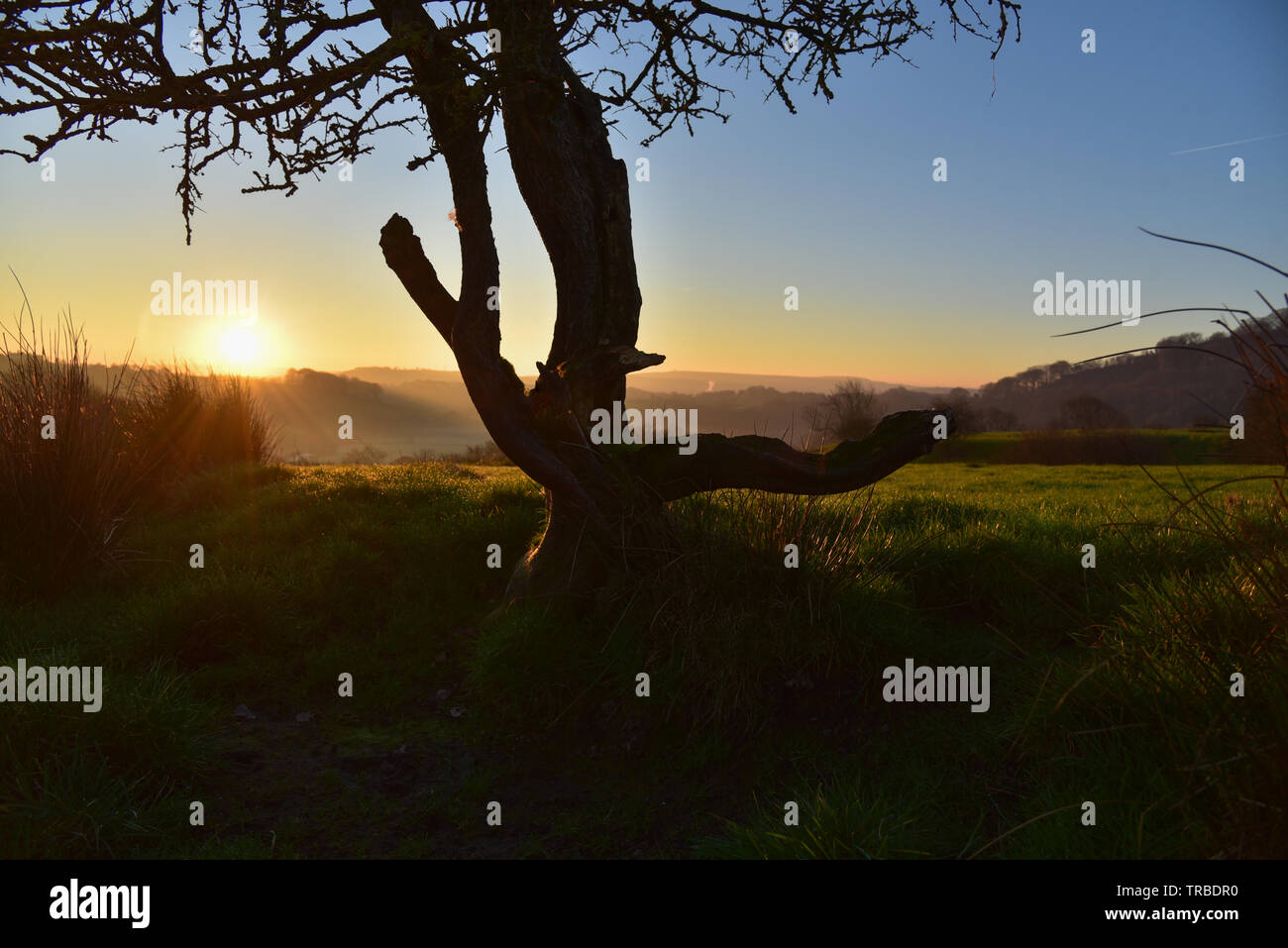 Beautiful dawn in valley hi-res stock photography and images - Alamy