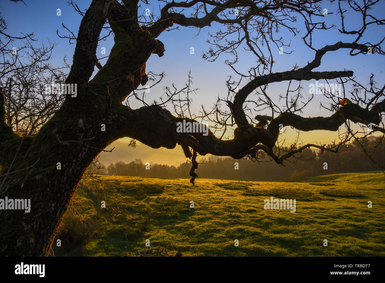 Beautiful sunrise in the valley Stock Photo - Alamy