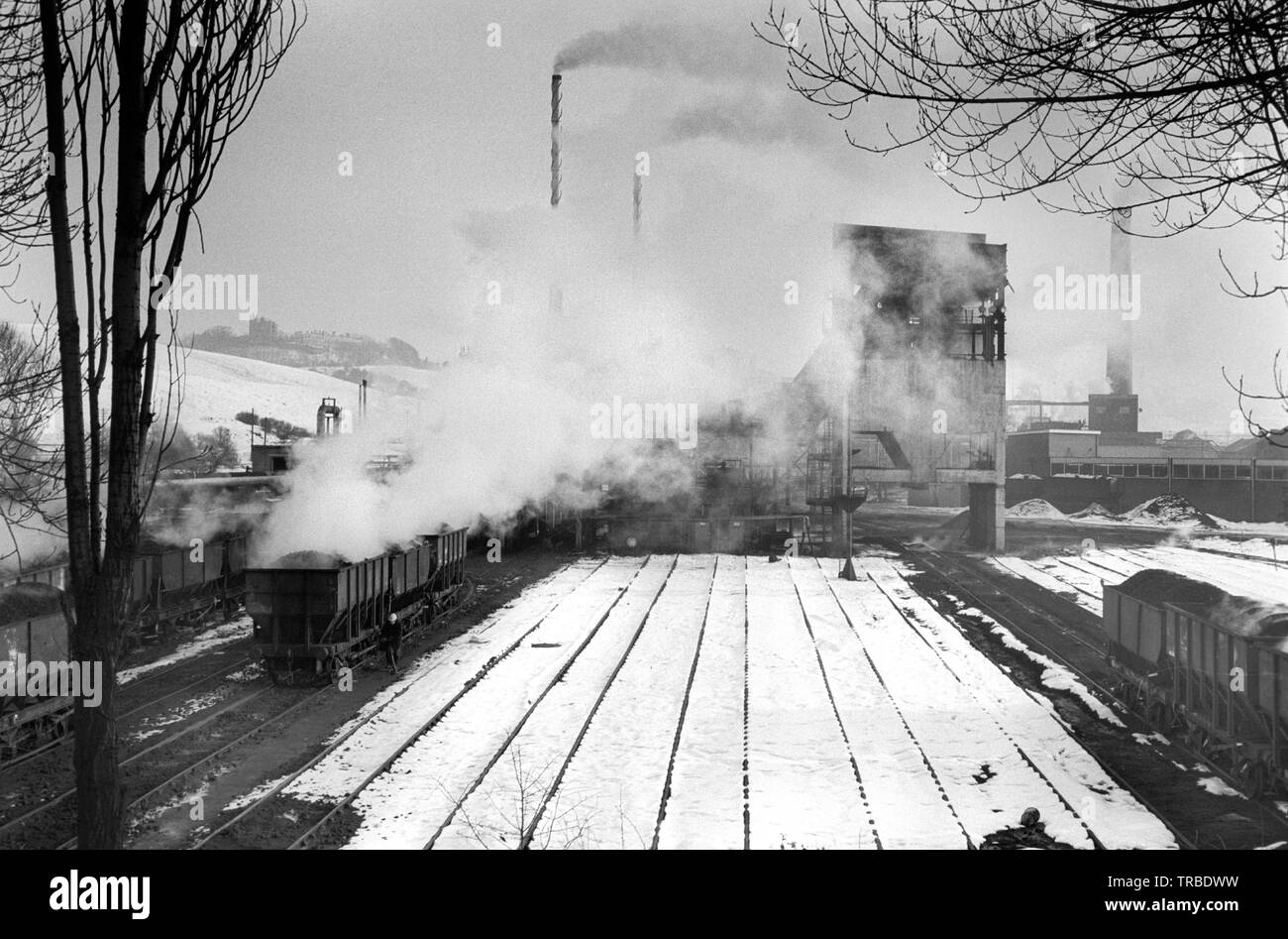 Coalite hi-res stock photography and images - Alamy