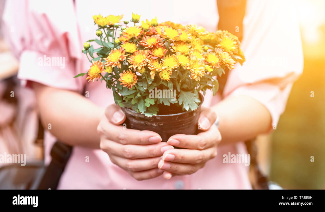 save earth save life by plant the tree, environment concept by holding ...