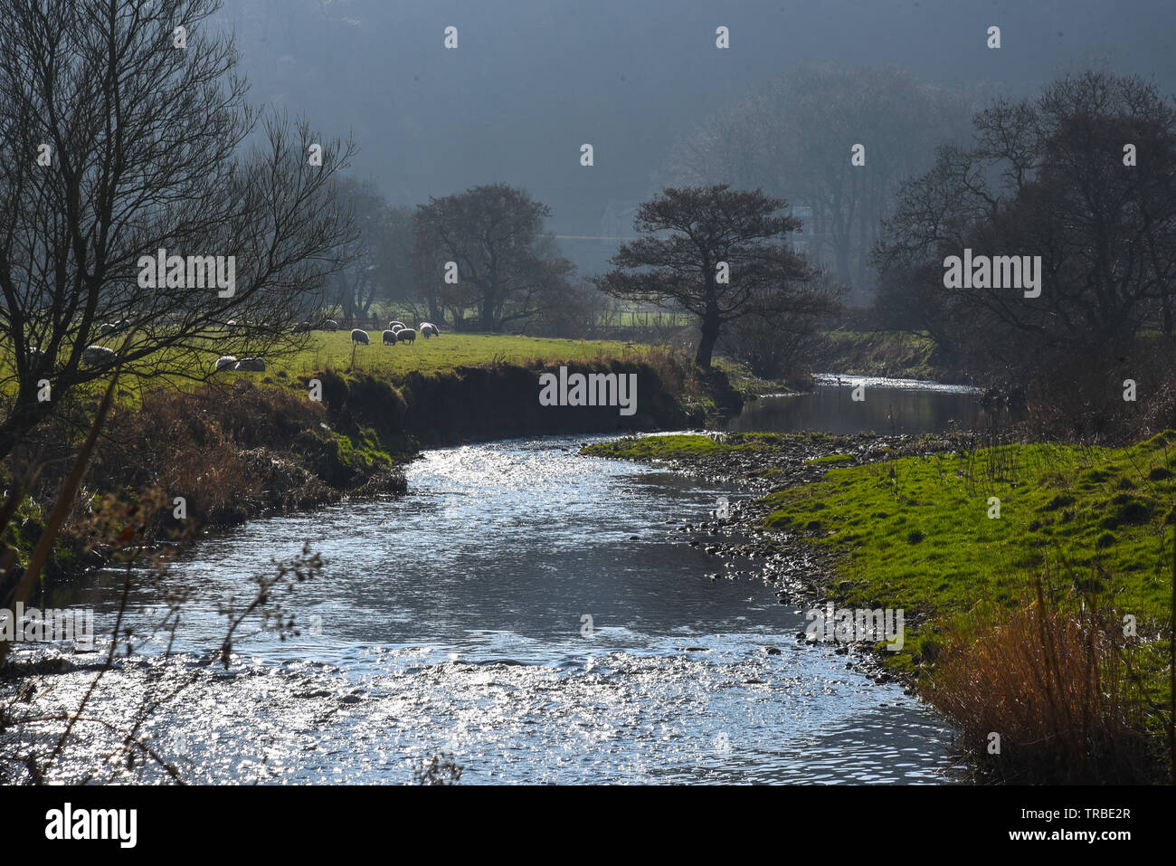 Light and shadow in the valley Stock Photo - Alamy
