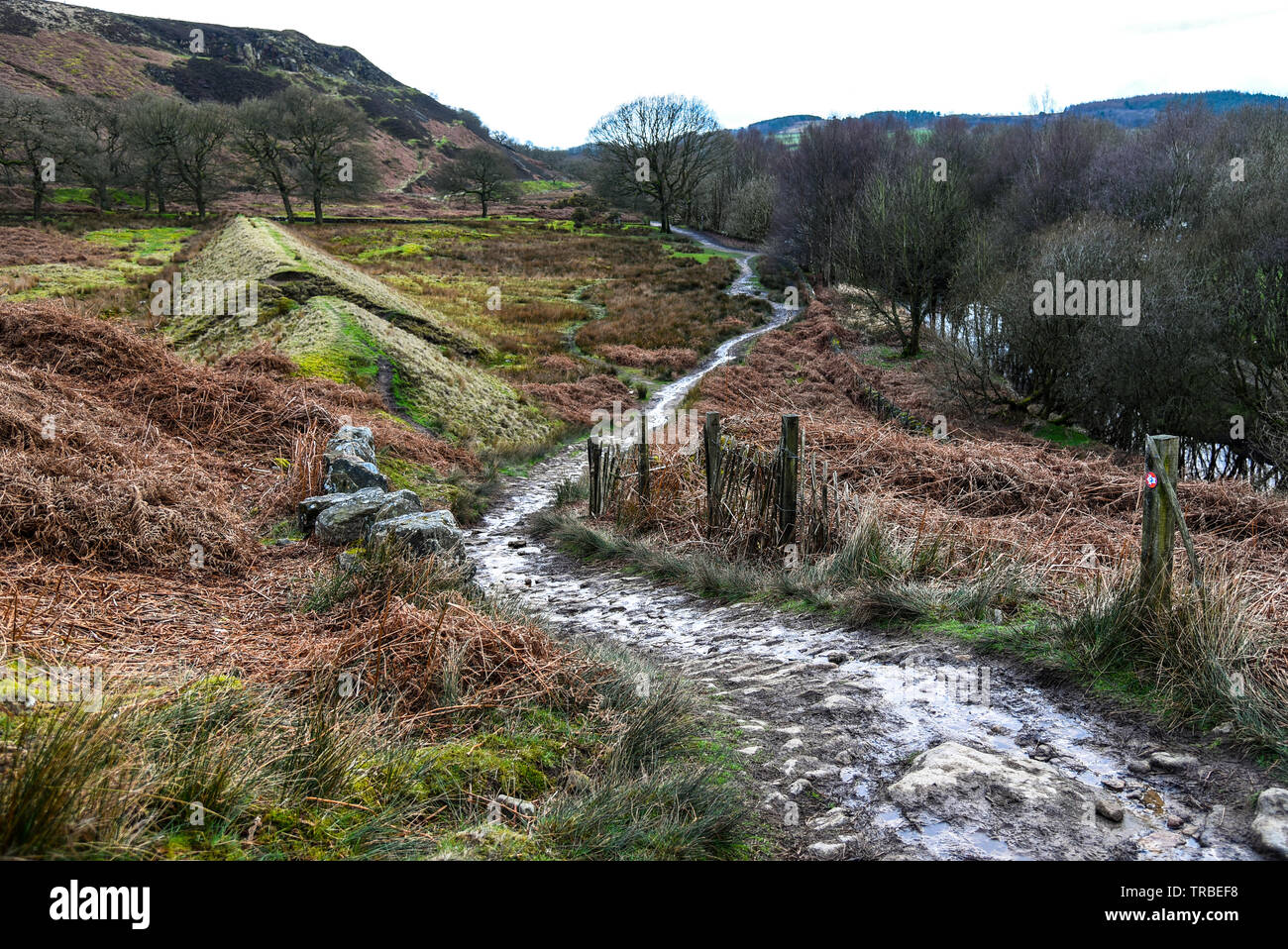 Scenic hiking path winding hi-res stock photography and images - Alamy