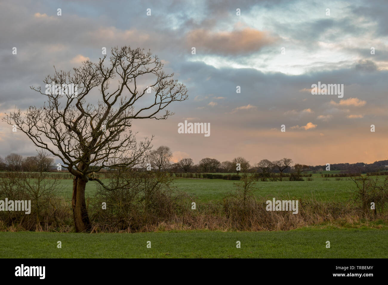 Cloudy pink sky hi-res stock photography and images - Alamy