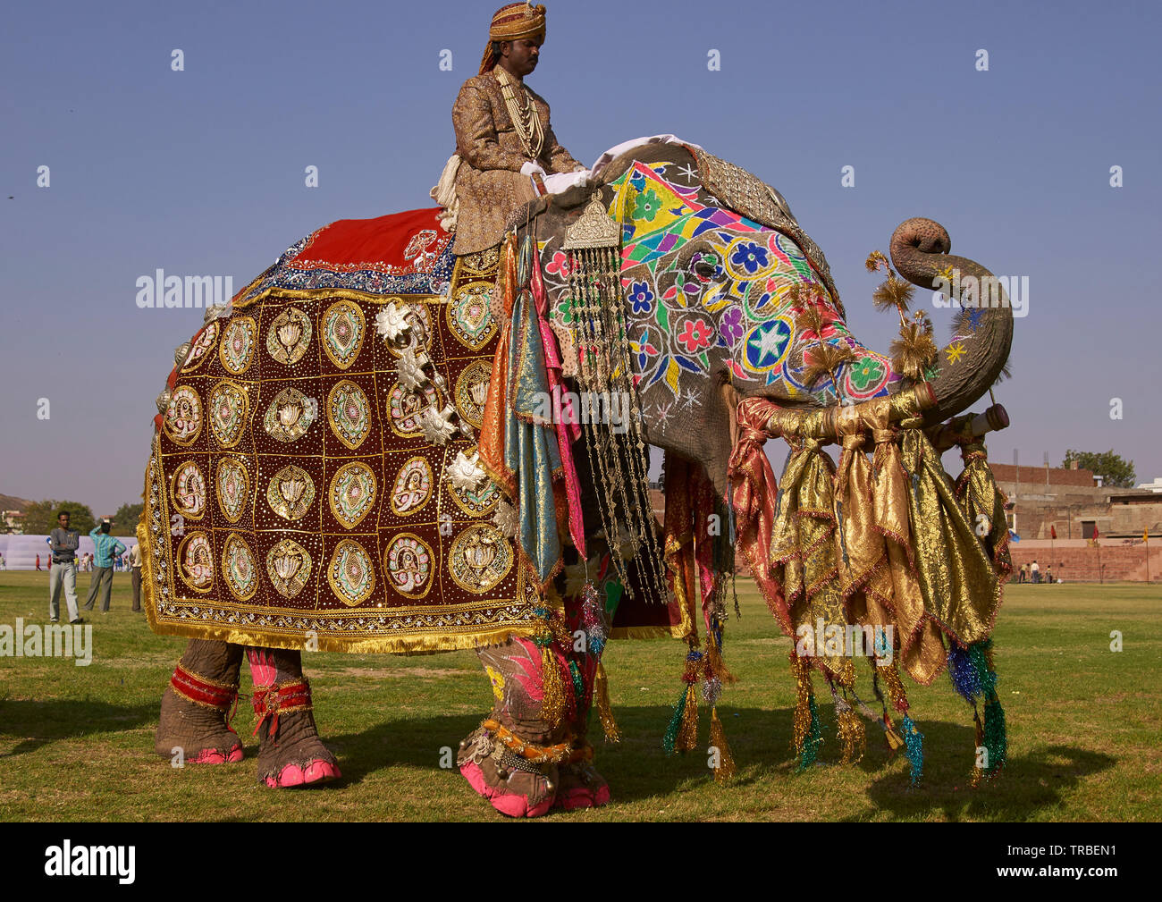 Decorated elephants hi-res stock photography and images - Alamy