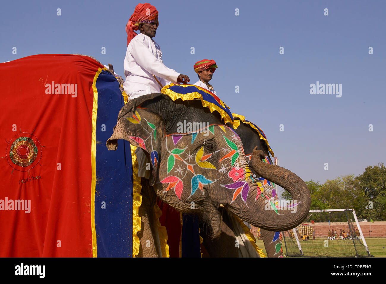 Elephant festival india hi-res stock photography and images - Alamy