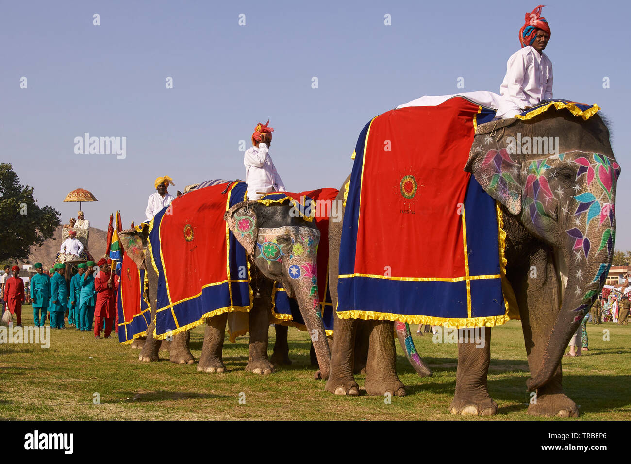 Decorated elephants and mahouts parade at the annual elephant festival ...