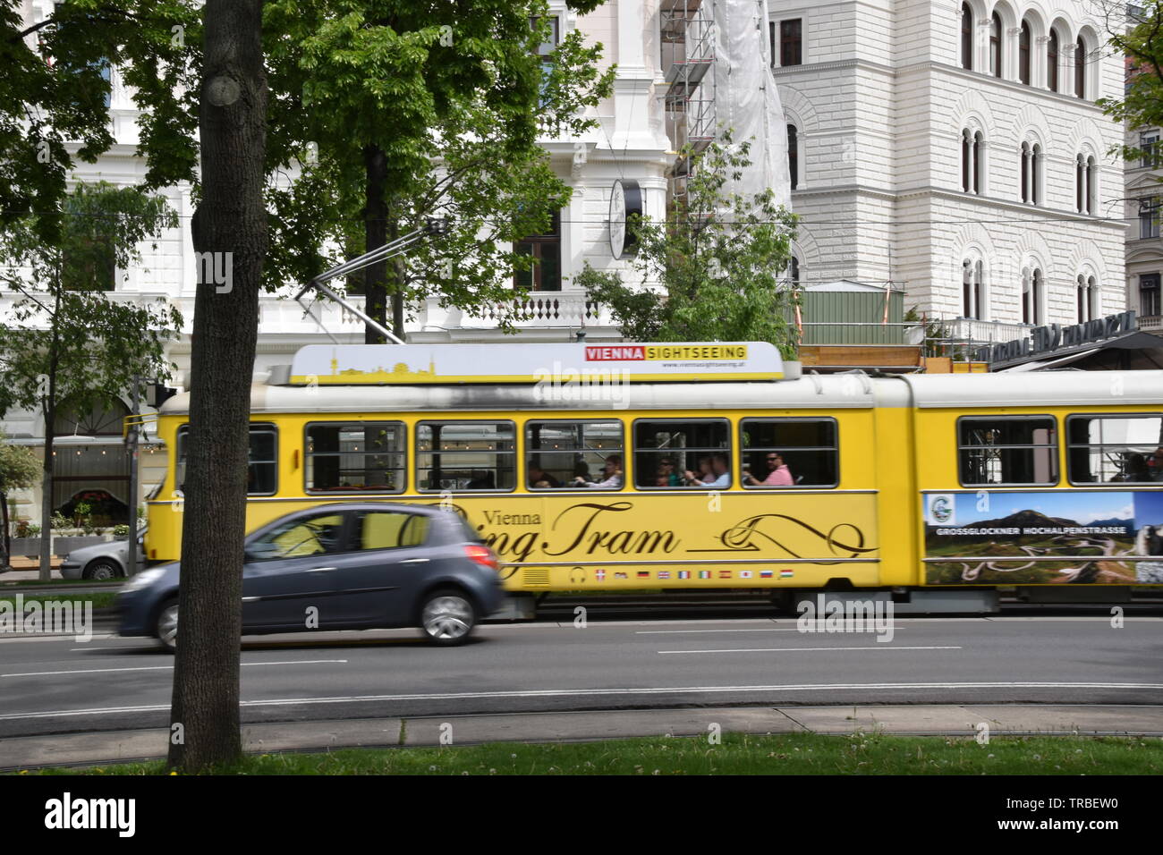 Tram in vienna Stock Photo - Alamy