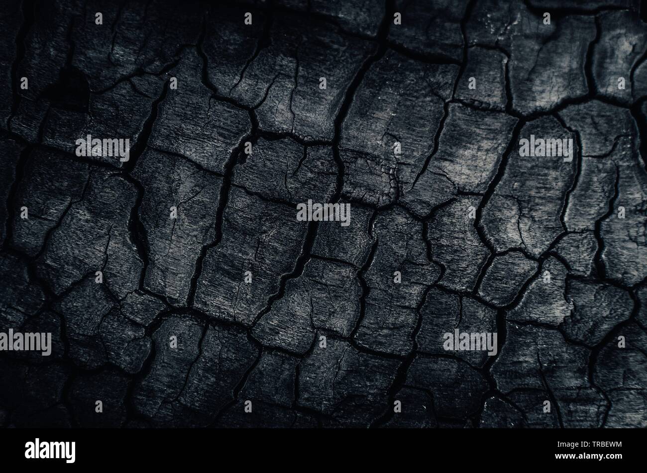 Background, black charred timber, coal after fire, abstract and in ...