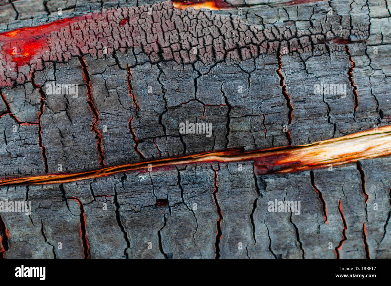 Smoldering forest hi-res stock photography and images - Alamy