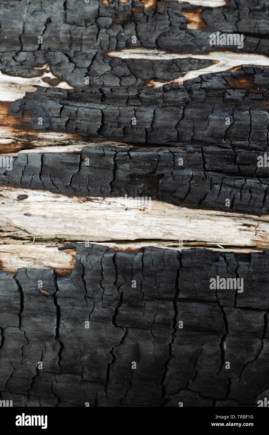 Charred timber hi-res stock photography and images - Alamy