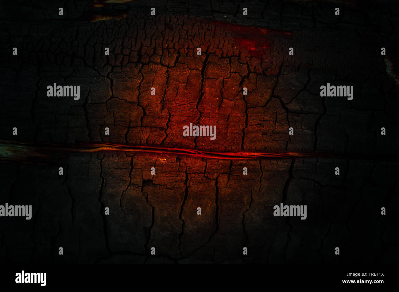 Smoldering forest hi-res stock photography and images - Alamy