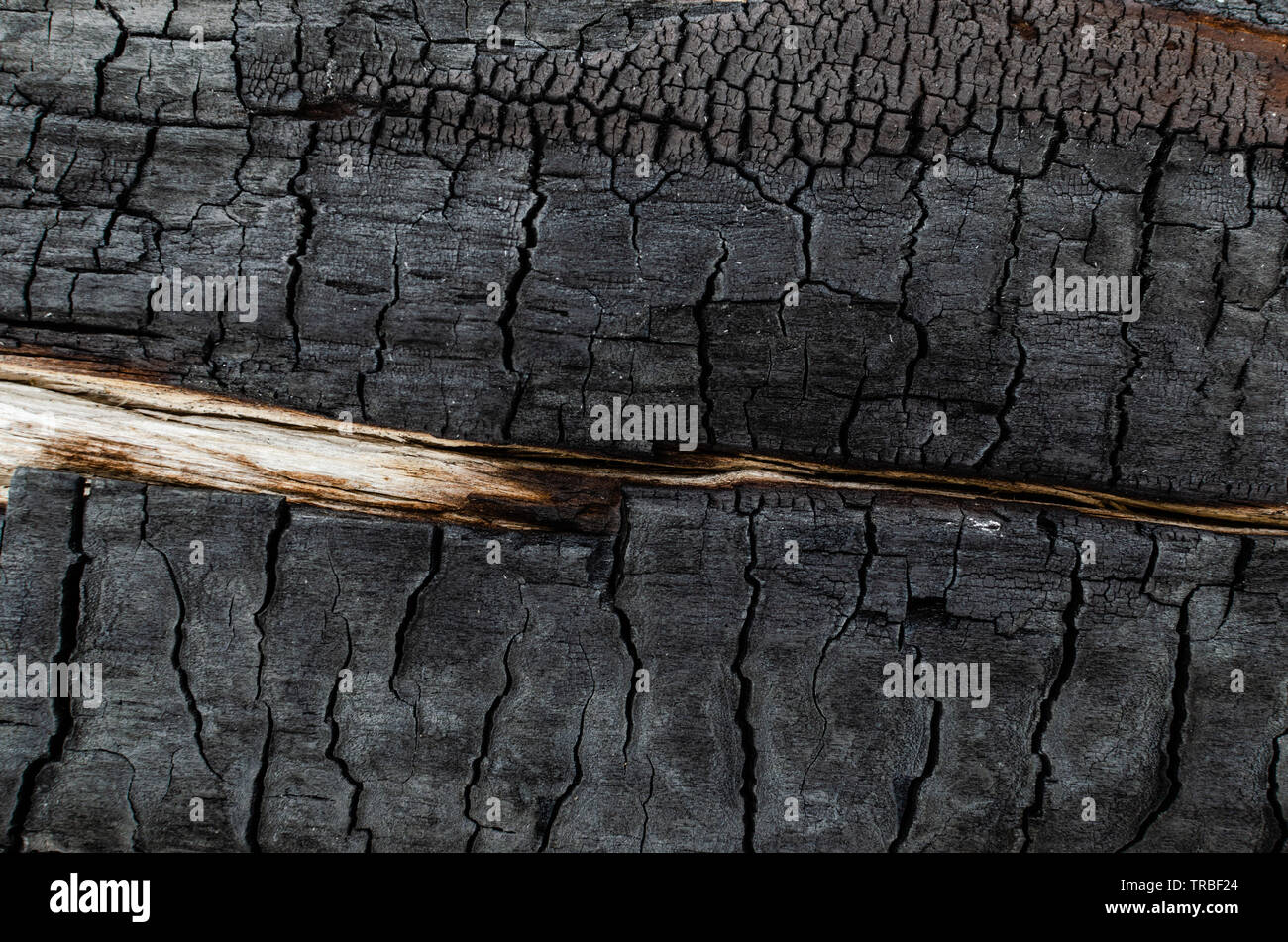 Background, black charred timber, coal after fire, abstract and in ...
