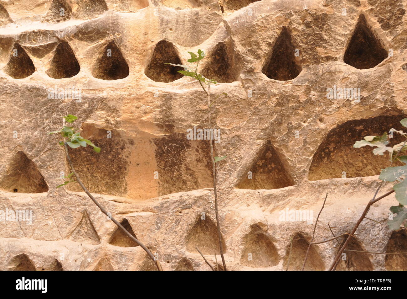 An ancient cave with nests for pigeons Stock Photo - Alamy