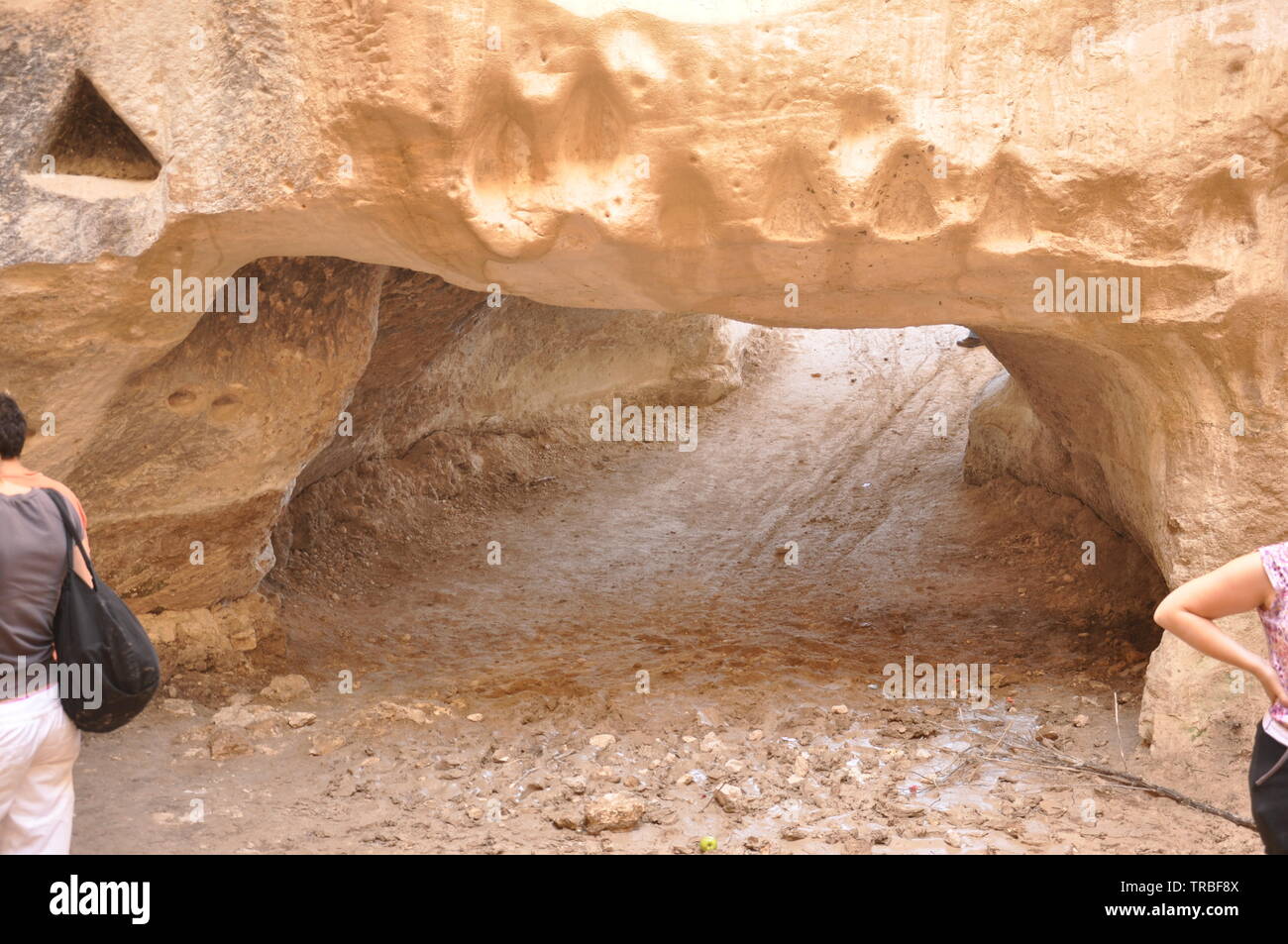 An ancient cave with nests for pigeons Stock Photo - Alamy