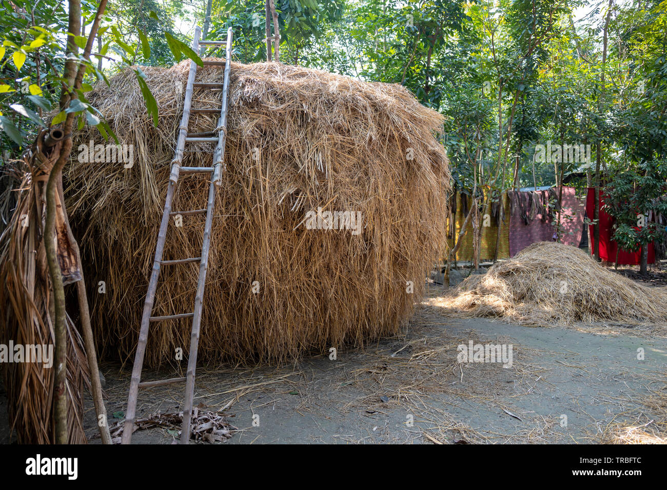 Rocket Paddle Steamer Ferries travel between Dhaka and Khulna with ...