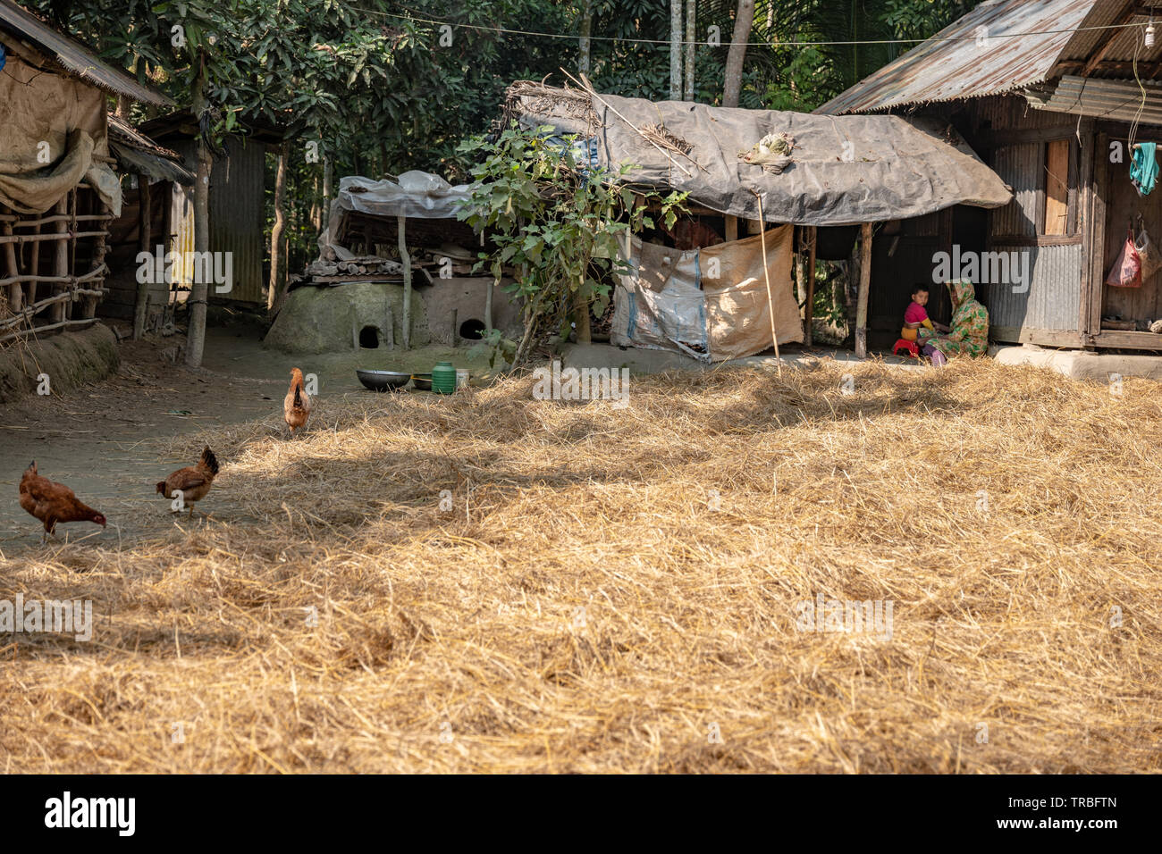 Rocket Paddle Steamer Ferries travel between Dhaka and Khulna with ...