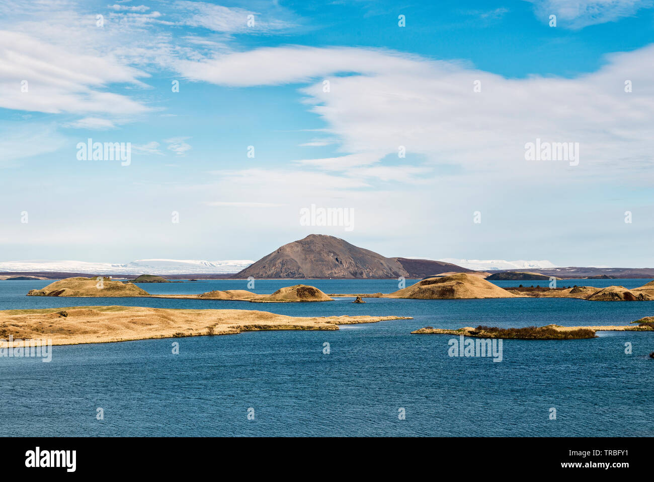 Swarm of midges hi-res stock photography and images - Alamy