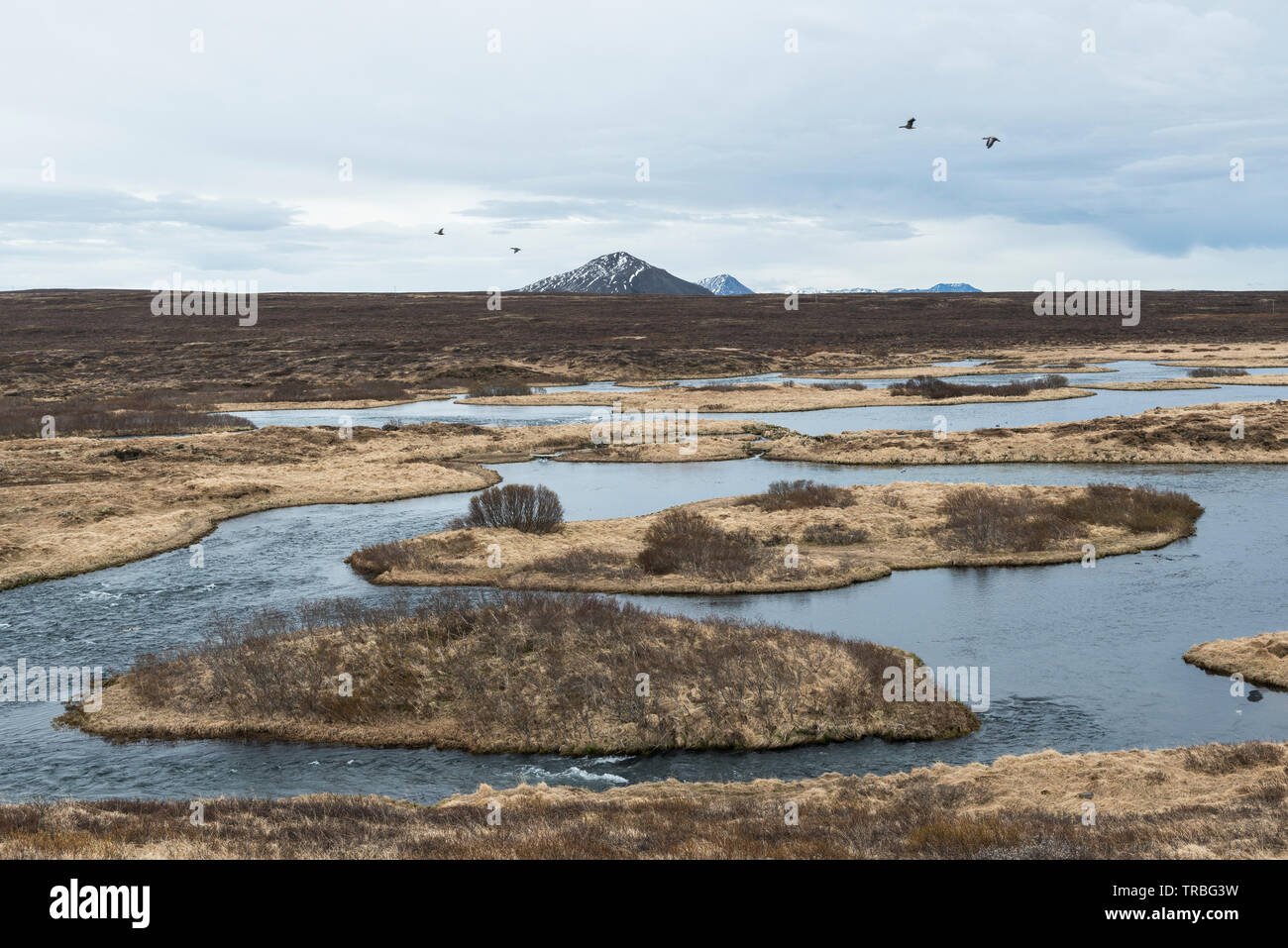 Mývatn in north-east Iceland. The name means 'Lake of Midges', which ...