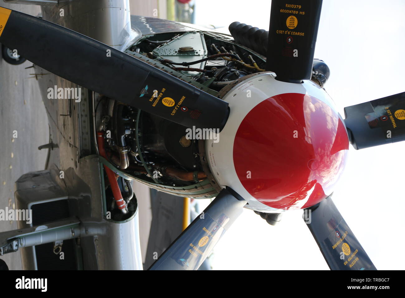Spitfire luftwaffe hi-res stock photography and images - Alamy