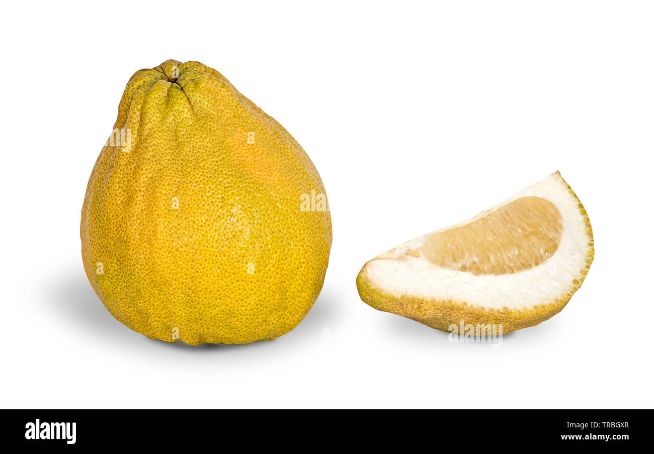 Pomelo and segment solated on white background Stock Photo - Alamy