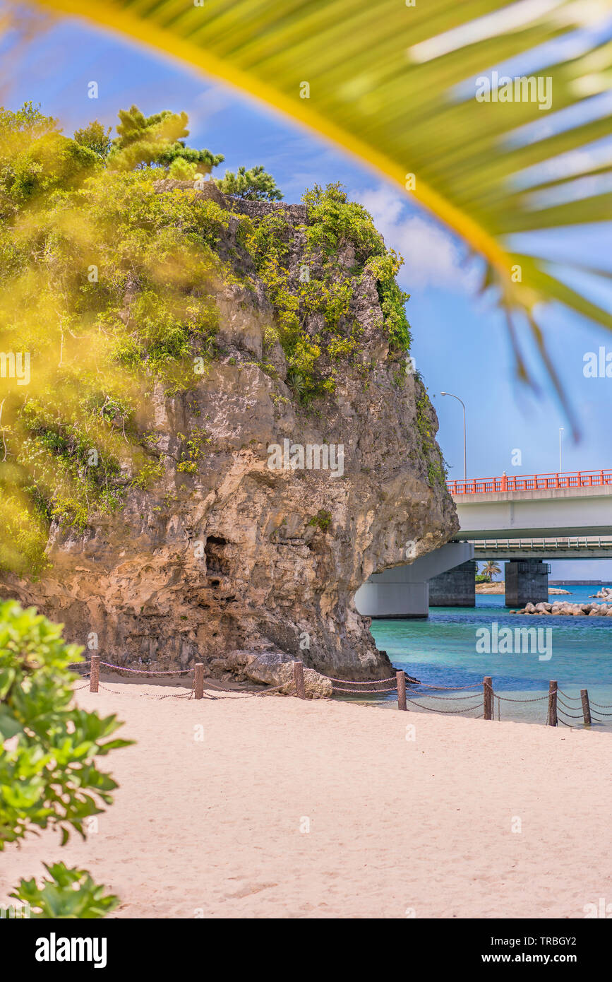 palm tree on the sandy beach Naminoue topped by a huge rock with a ...