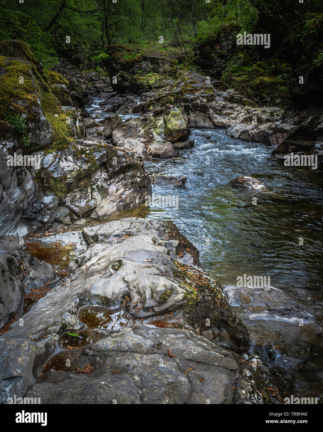 Stream flowing through rocky gorge in woodland.Tranquil scenery of ...