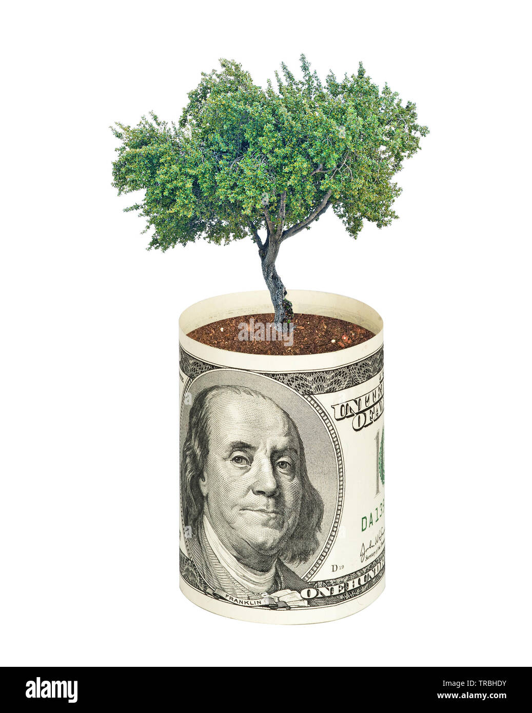 tree growing from dollar bill Stock Photo - Alamy