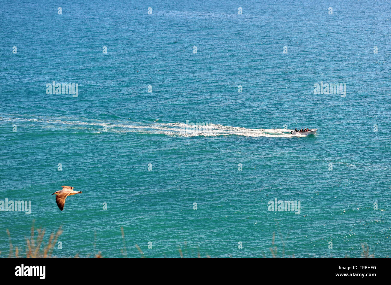 Flying speedboat hi-res stock photography and images - Alamy