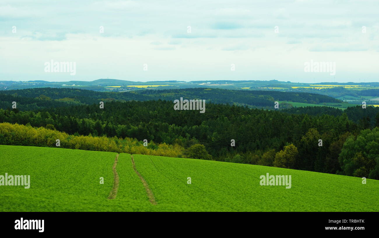 Mountain forest in the valley Stock Photo - Alamy