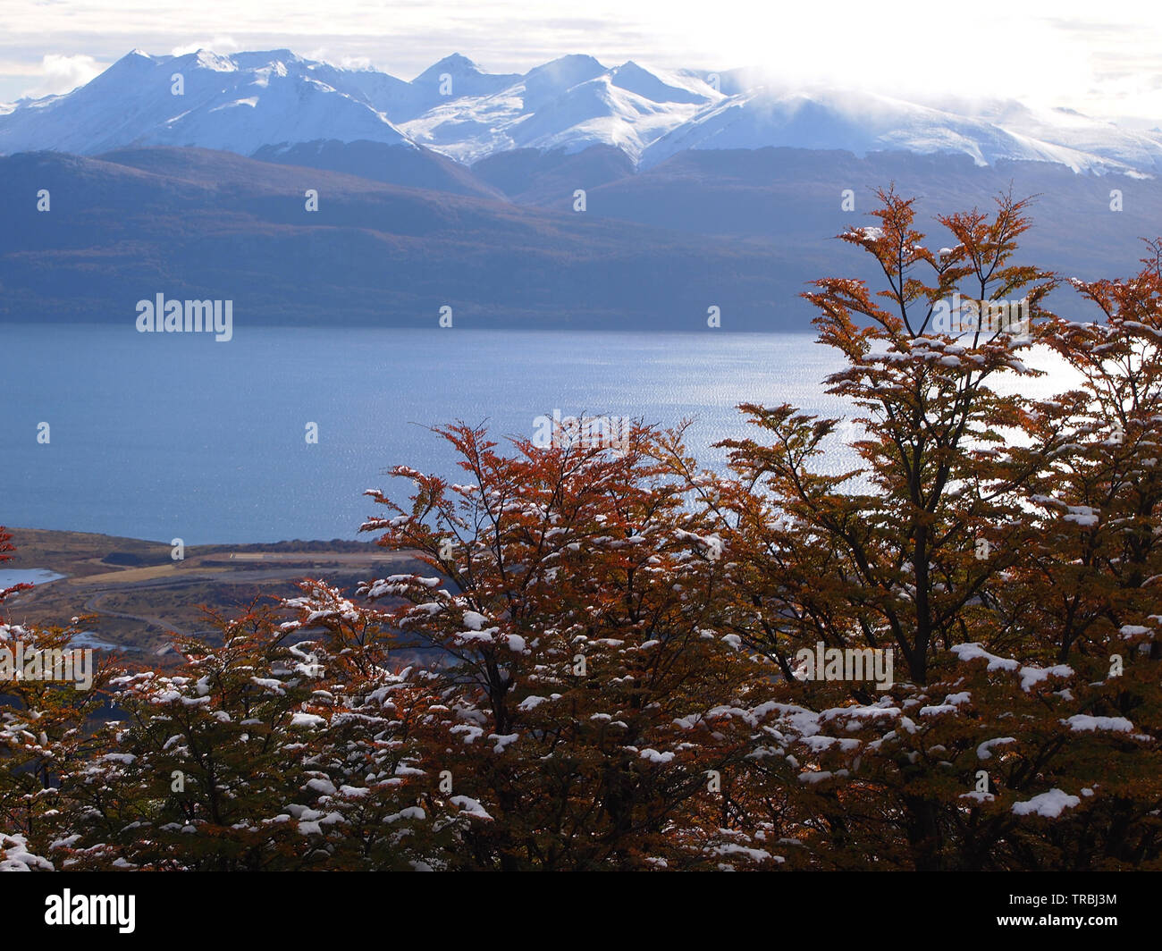 Hms beagle expedition hi-res stock photography and images - Alamy