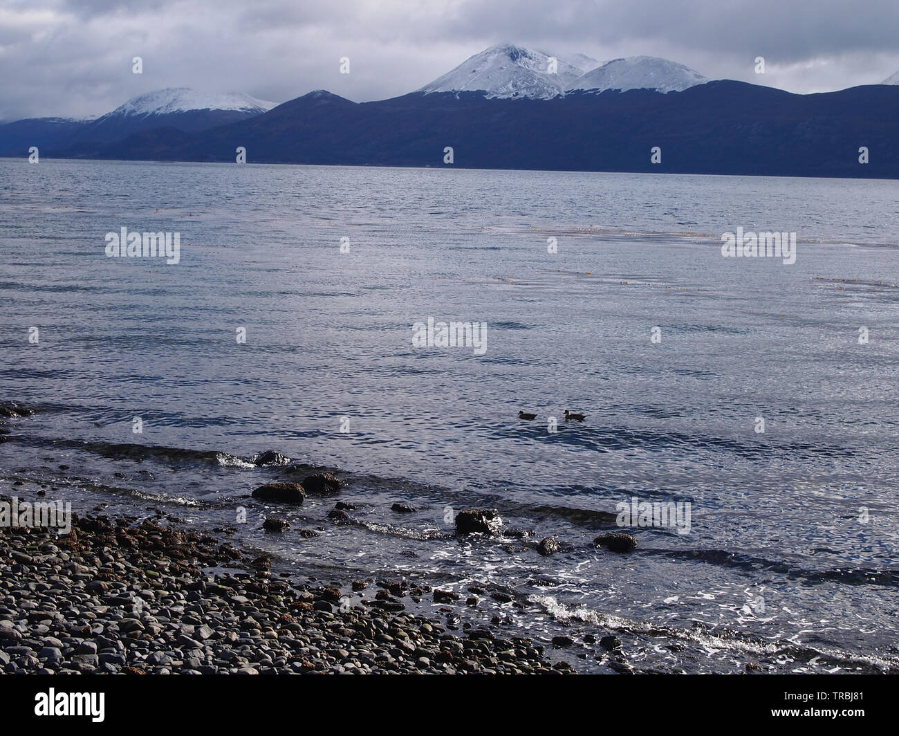The Beagle Channel seen from Navarino island, Southern Chile. This ...