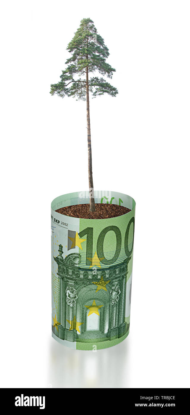 Tree growing from euro bill Stock Photo - Alamy