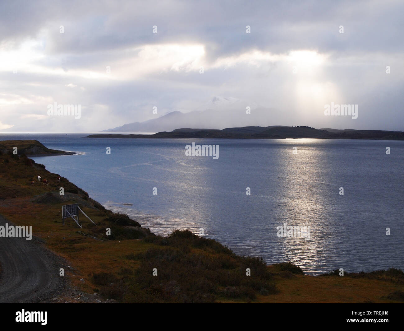 The Beagle Channel seen from Navarino island, Southern Chile. This ...