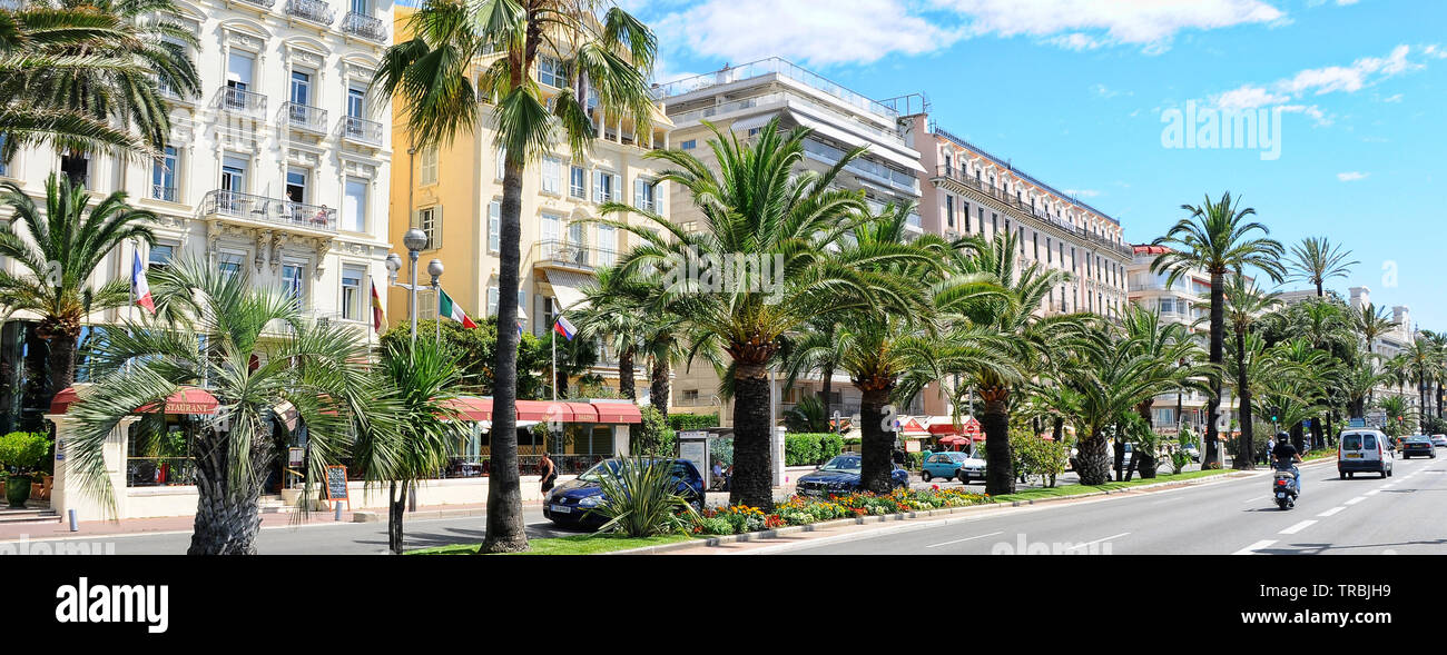 Nice france road sunshine palm trees hi-res stock photography and ...