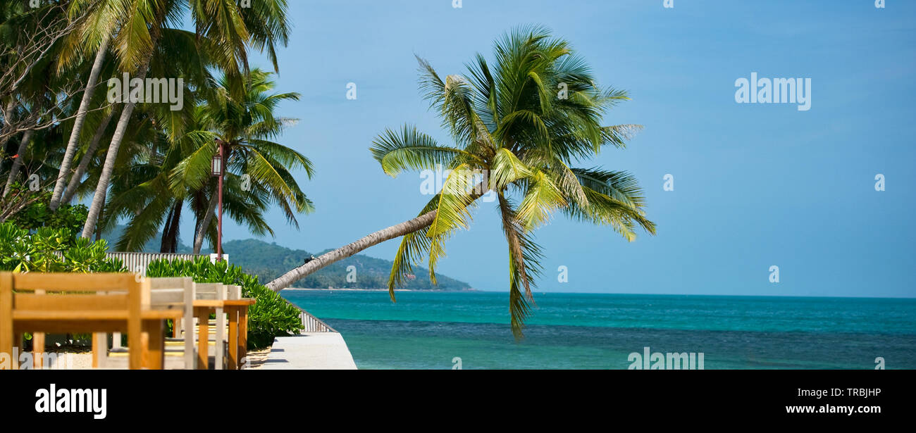 Samui island hi-res stock photography and images - Alamy