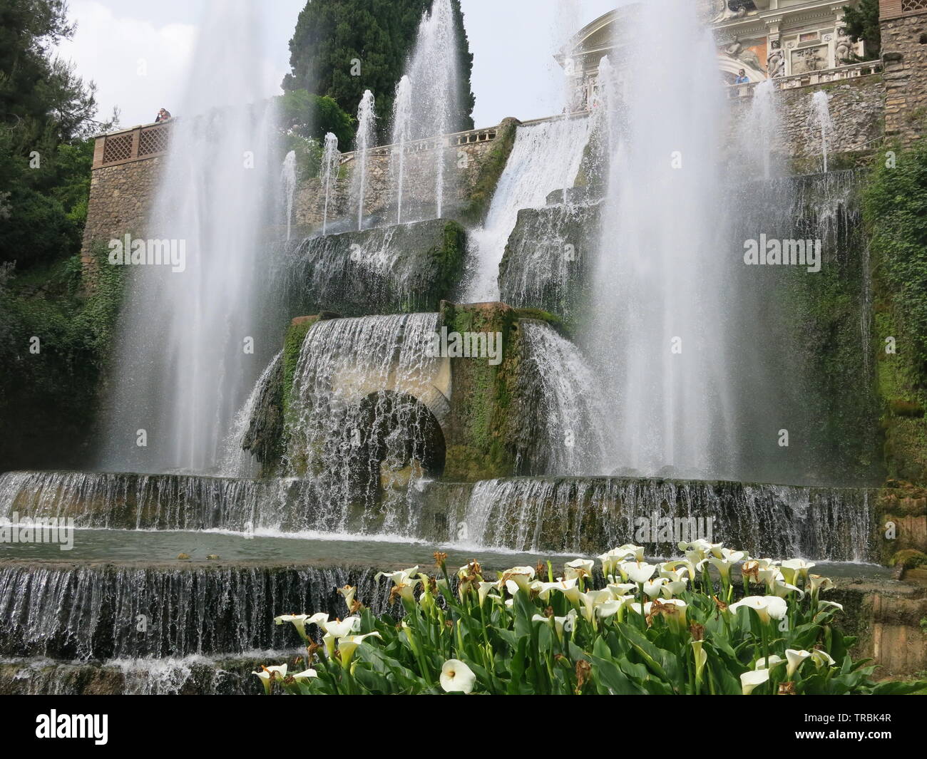 The terraced, Renaissance gardens at Villa d'Este are famous for their ...