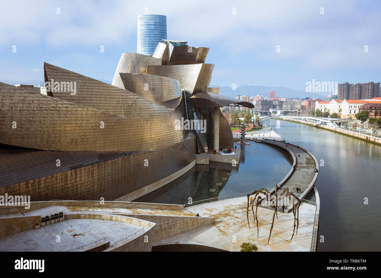 Bilbao, Biscay, Basque Country, Spain : General view of the Guggenheim ...