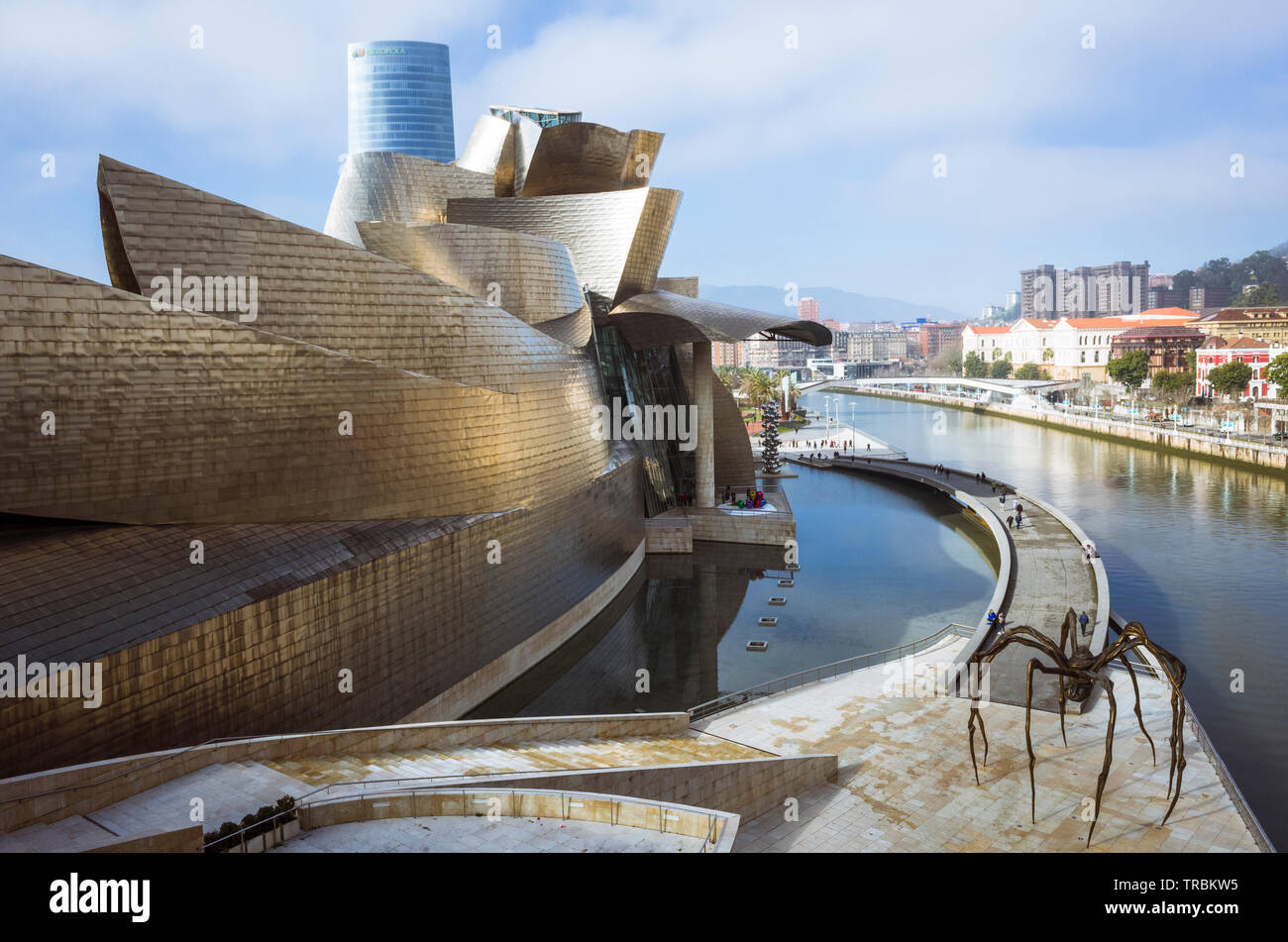Bilbao, Biscay, Basque Country, Spain : General view of the Guggenheim ...