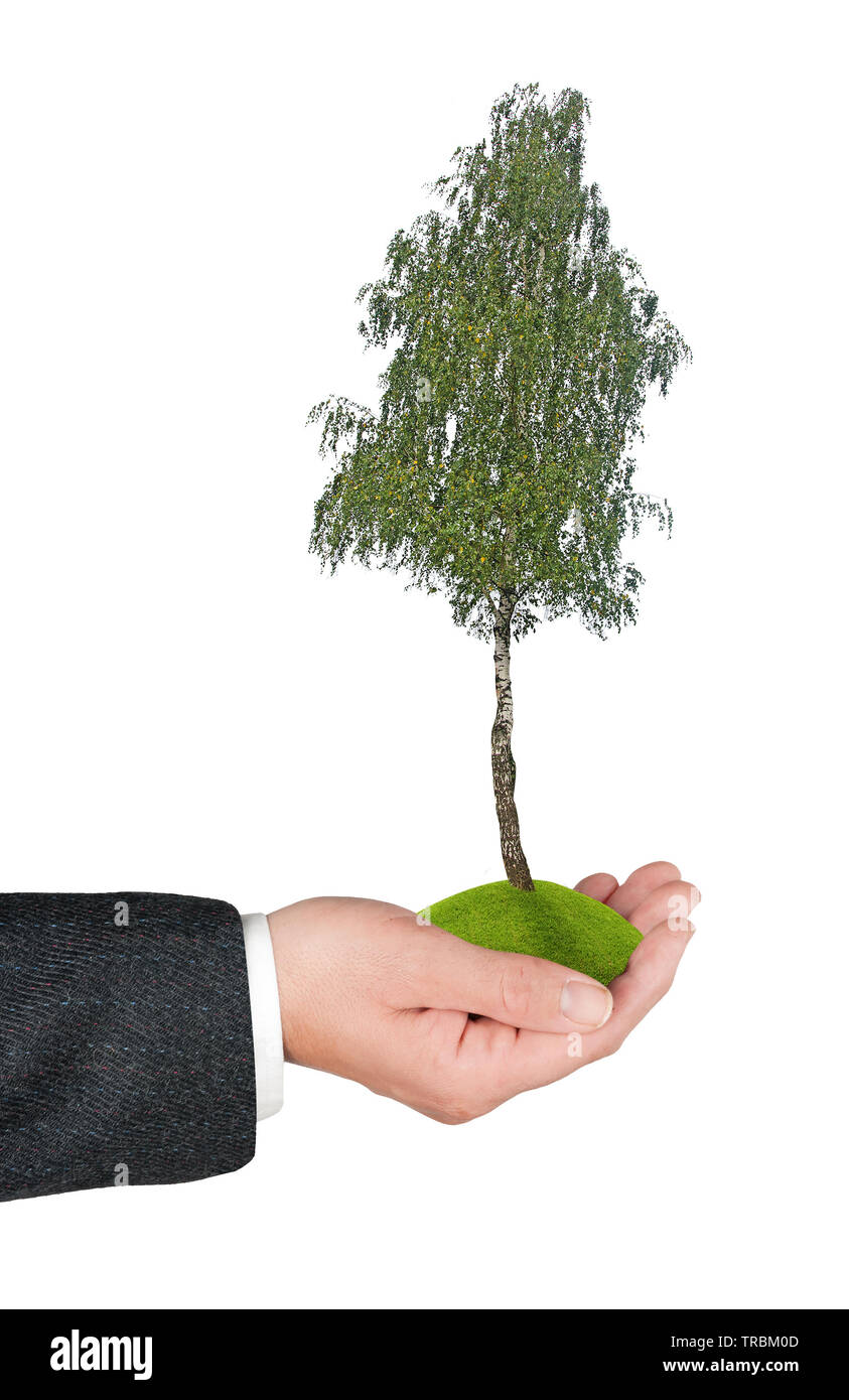 tree in hand Stock Photo - Alamy