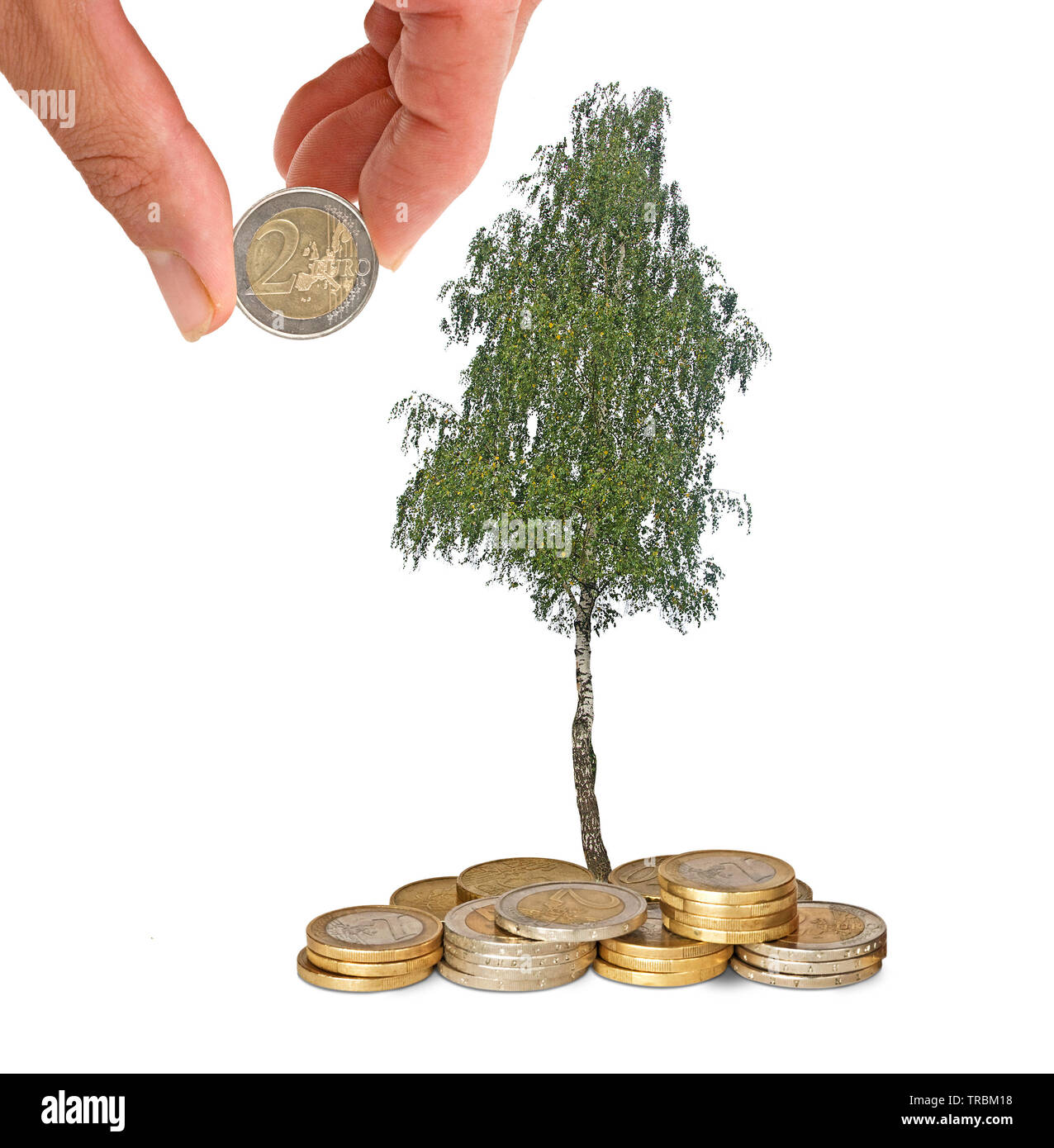 Tree growing from coins Stock Photo - Alamy